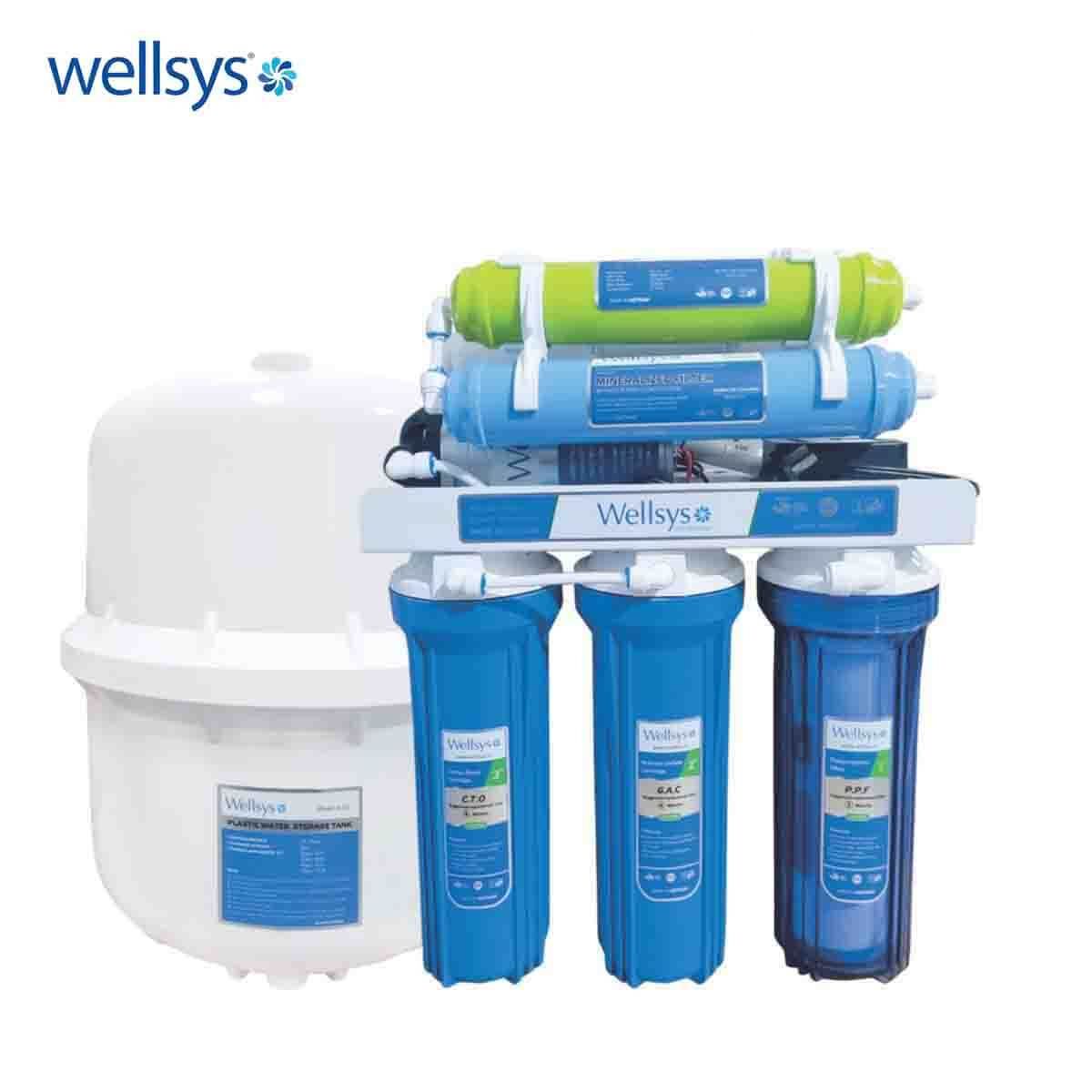 Wellsys Water Purifier in BD 2025